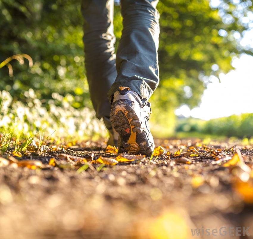 Starting to Stray Off the Path? The Power of Repentance - RLI